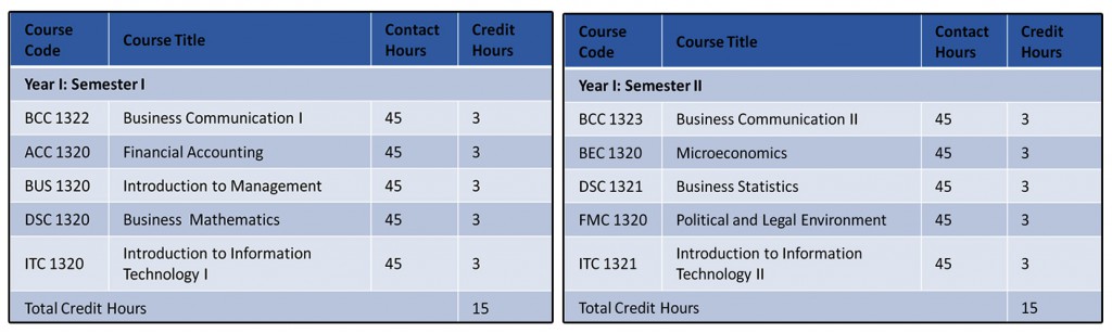 1st Year - Department of Accounting