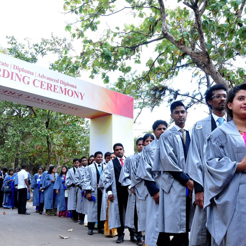 ACCA Gold Medal | Department of Accounting